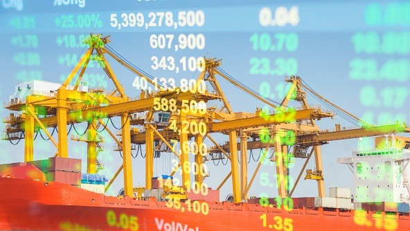 Exclusive Q&A: Caribbean Ports Services on Octopi - Port Technology ...