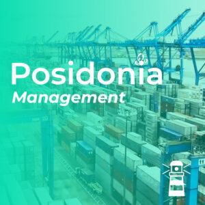 Prodevelop - Port Technology International