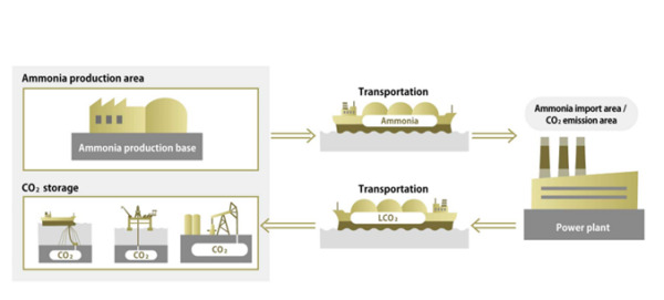 NYK, Mitsubishi Shipbuilding obtain approval for ammonia and LCO2 ...