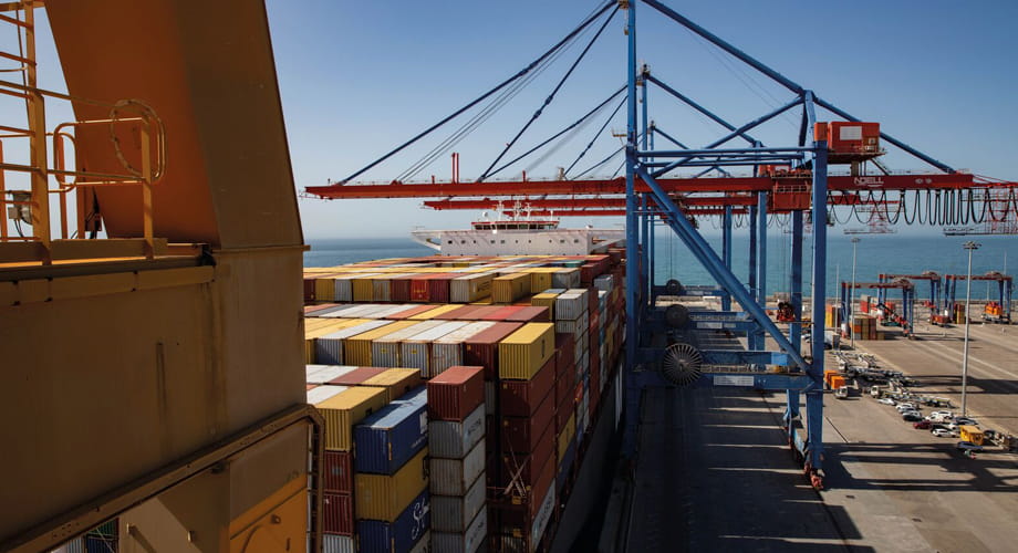 AD Ports boosts logistics leadership with key appointments - Port ...