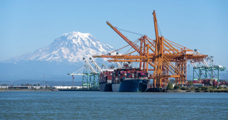 NWSA container volumes down 13.9 per cent in January 2026 - Port ...
