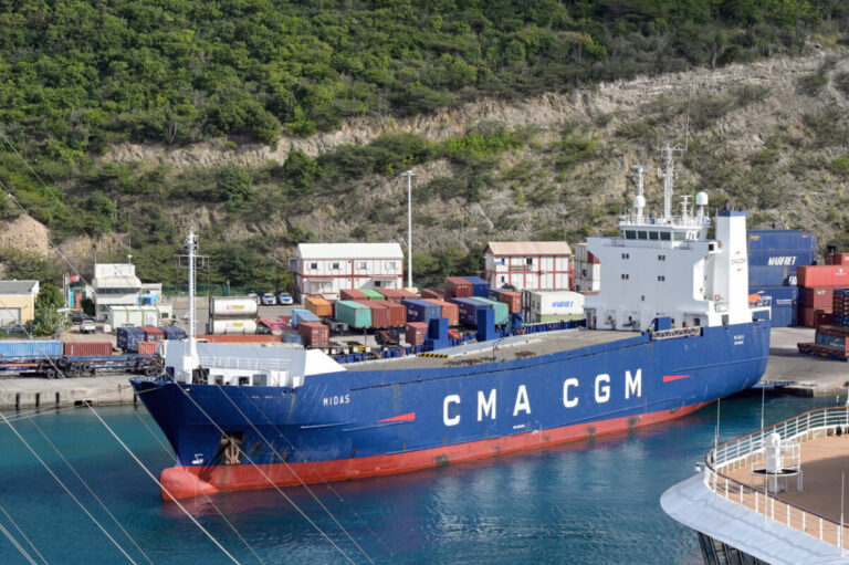 CMA CGM to acquire Fattal in logistics push - Port Technology International